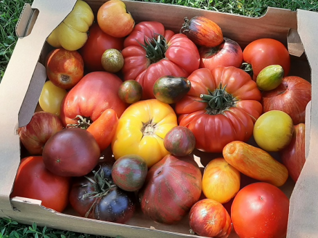 RealFoods - RealFoods